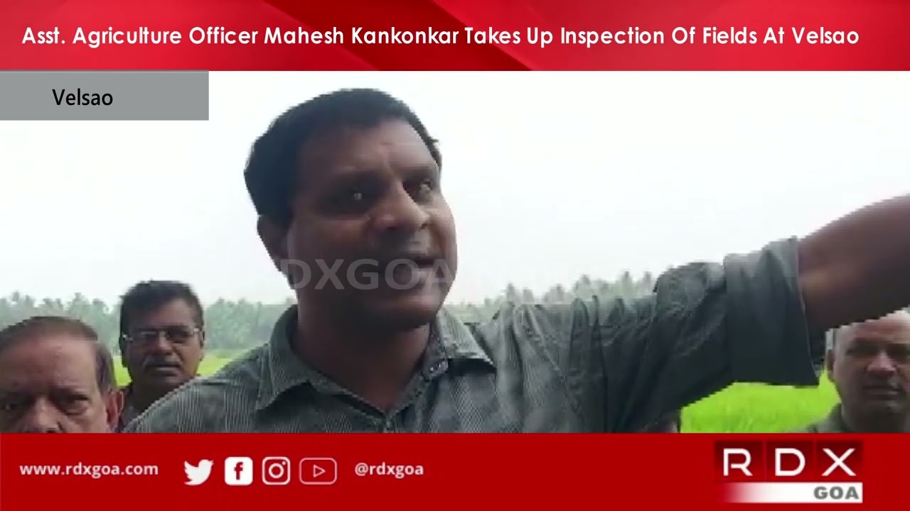 Asst. Agriculture Officer Mahesh Kankonkar Takes Up Inspection Of ...