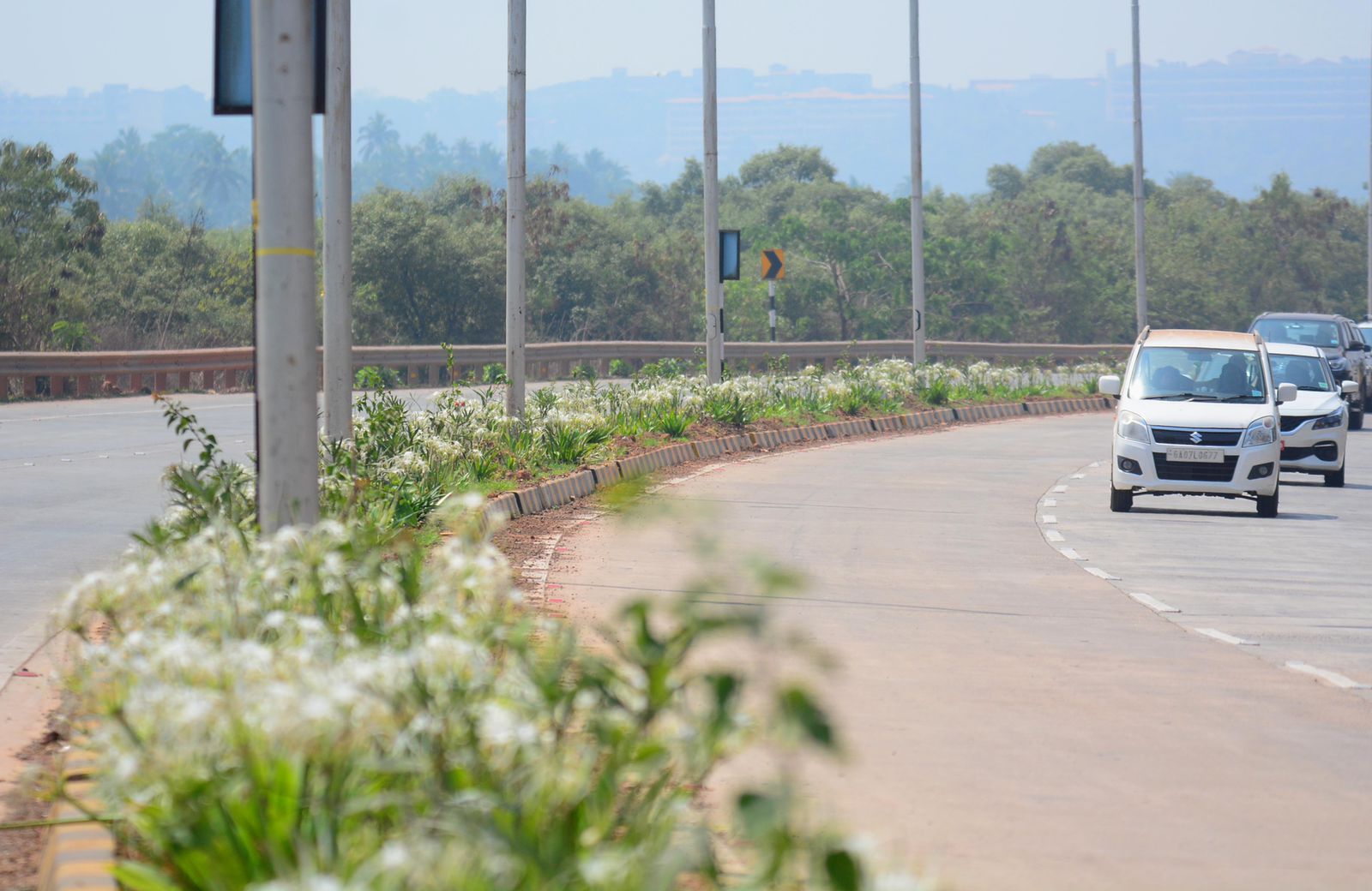 Transforming Goa’s Roads: Forest Department’s Beautification Project ...