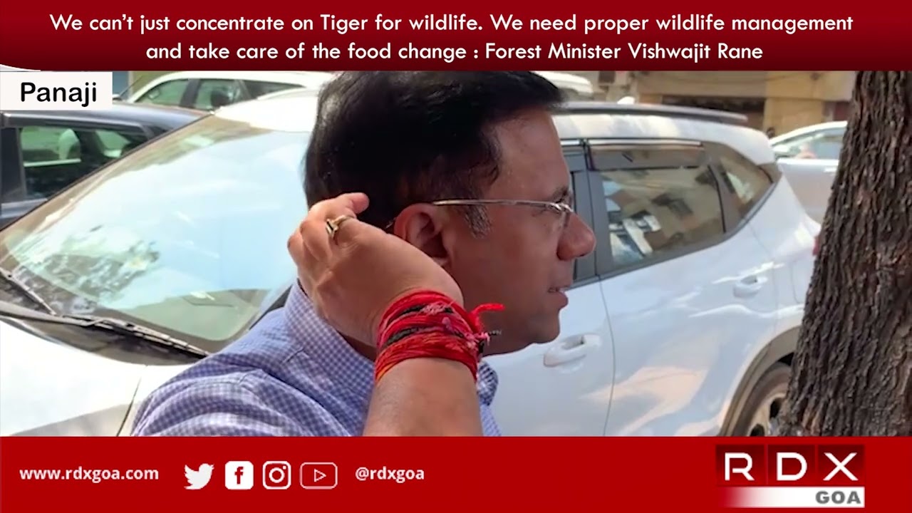 Forest Minister Vishwajit Rane over decreasing number of tigers on Goa ...