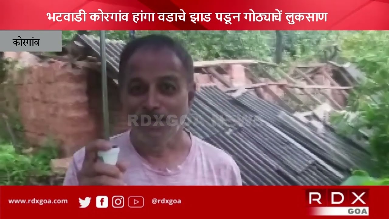 A Banyan Tree Collapse At Bhatwadi Korgao, Caused Damage To A Cowshed ...