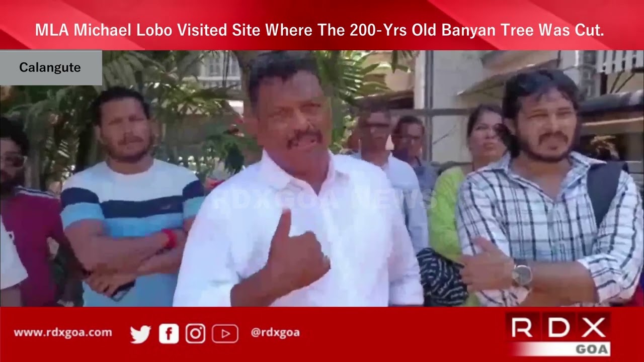 MLA Michael Lobo Visited Site Where The 200 Yrs Old Banyan Tree Was Cut ...