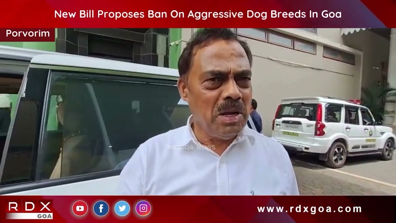New Bill Proposes Ban On Aggressive Dog Breeds In Goa - RDX Goa