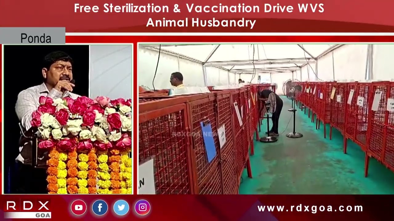 Free Sterilization & Vaccination Drive WVS Animal Husbandry - RDX Goa