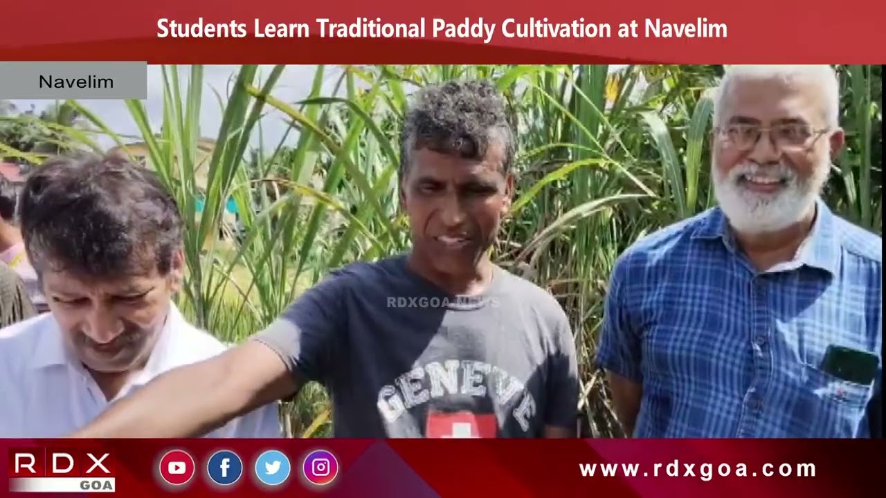 Students Learn Traditional Paddy Cultivation at Navelim - RDX Goa